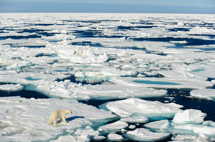 Try These Tips for Amazing Photos of Frozen Landscapes