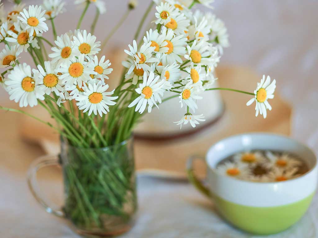 Setting Your Photo-Ready Passover Table with Tradition and Elegance