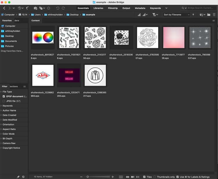 5 Easy Adobe Bridge Tricks for Managing Digital Assets