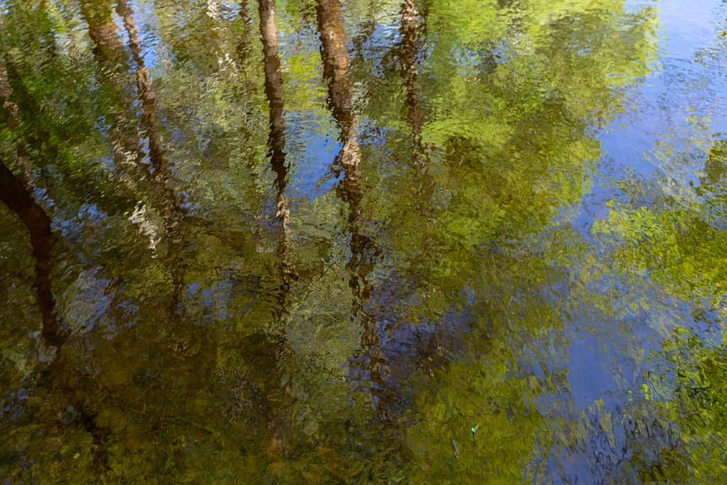 How to Capture Unique and Compelling Abstract Photography