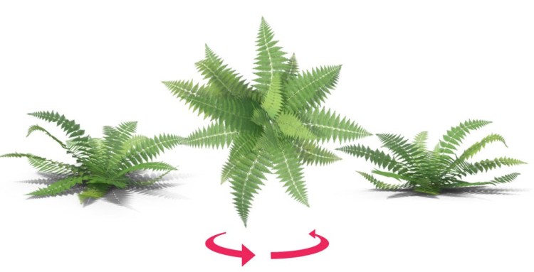 FREE Spinnable, Transparent 3D Florals: In the Garden with PixelSquid