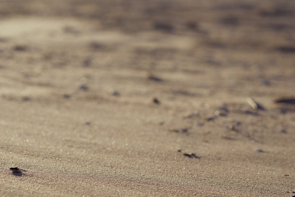 5 Tips for Capturing Texture in Photography
