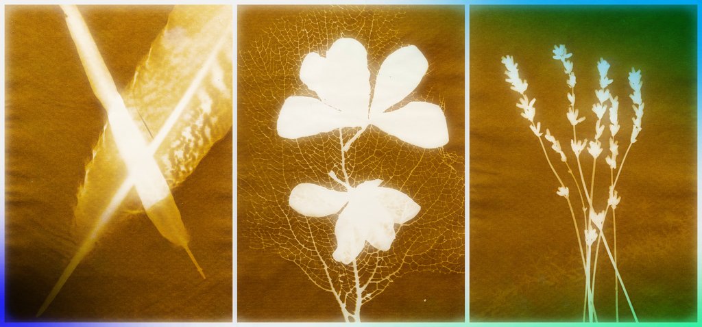 The History of Abstract Photography