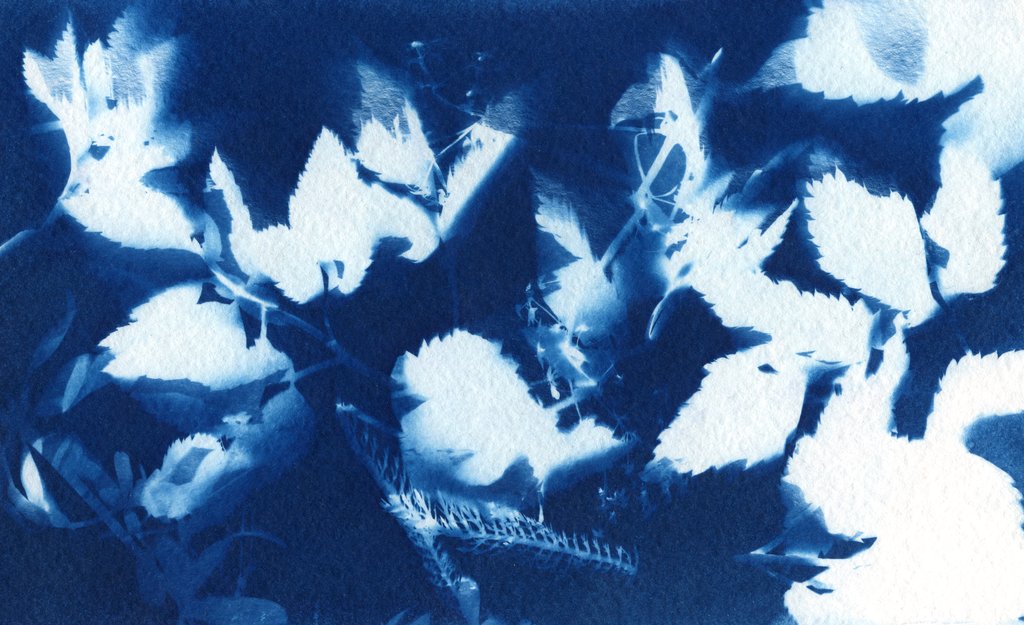 The History of Abstract Photography